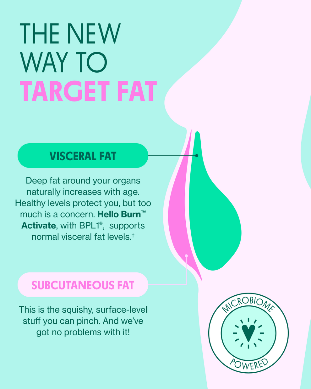 Hello Burn™ Activate - Visceral Fat Burner | Love Wellness
